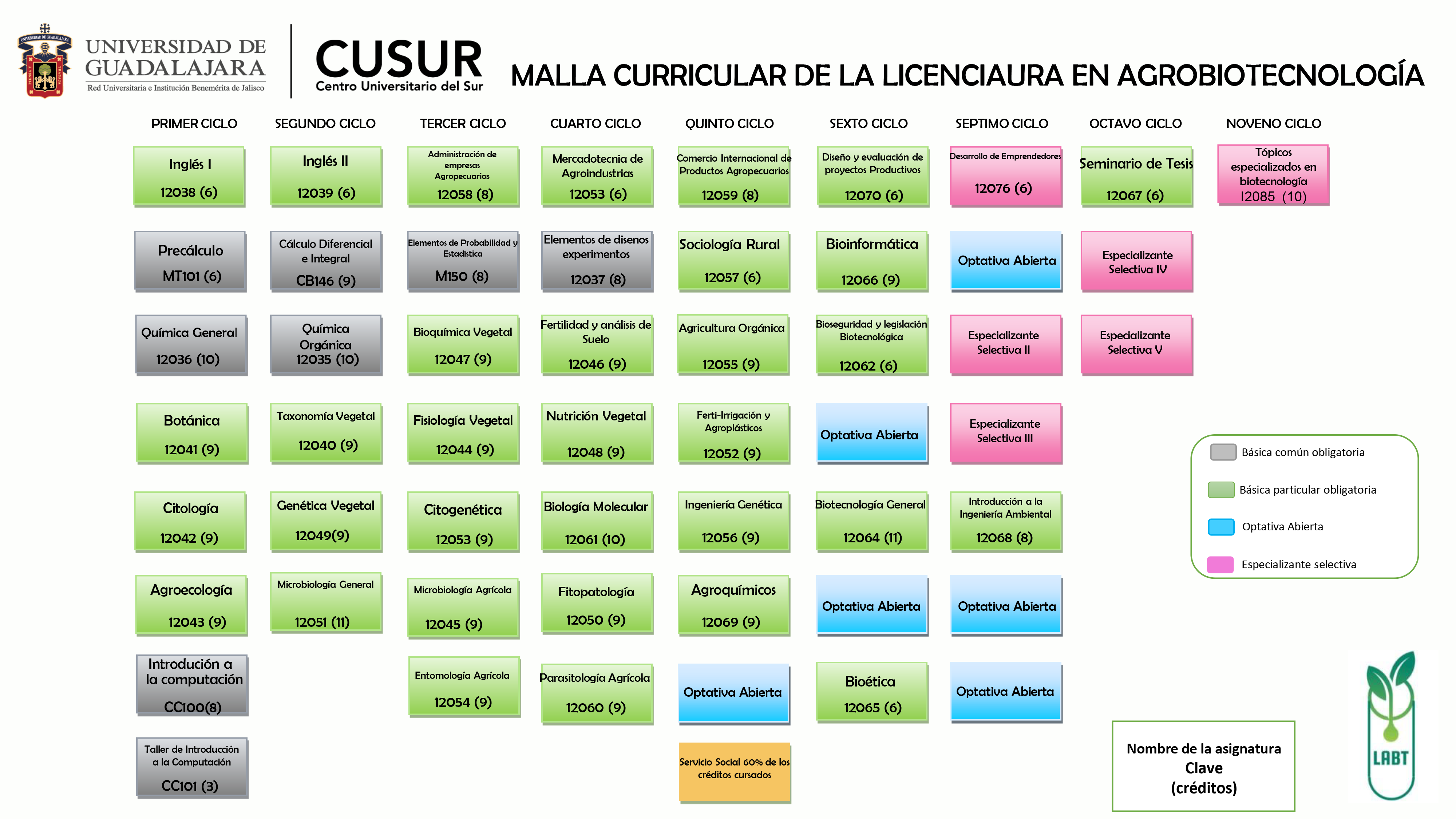 Mapa curricular | Centro Universitario del Sur